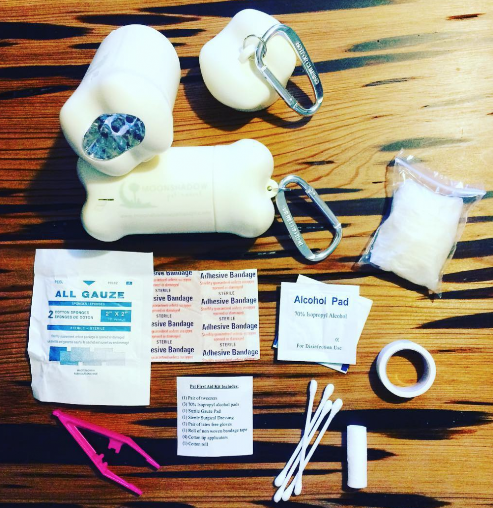 Pet First Aid Kit with Flashlight